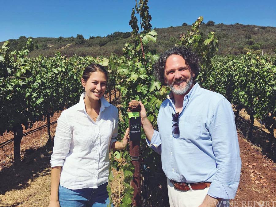 ダラ・ヴァレ×オルネッライア、ジョイント・ヴェンチャーで「DVO」誕生 | WINE REPORT